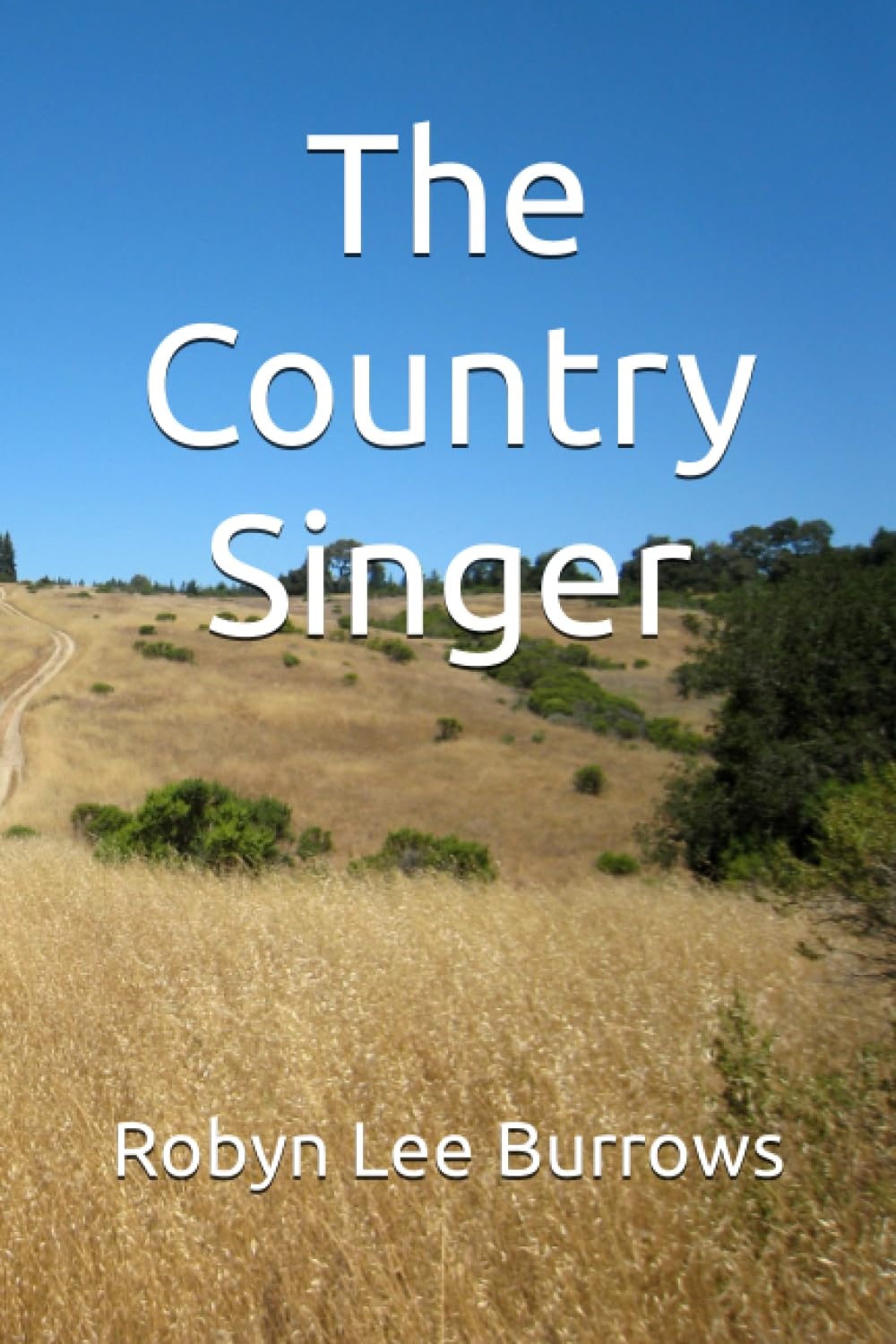The Country Singer – Robyn Lee Burrows – Australian author