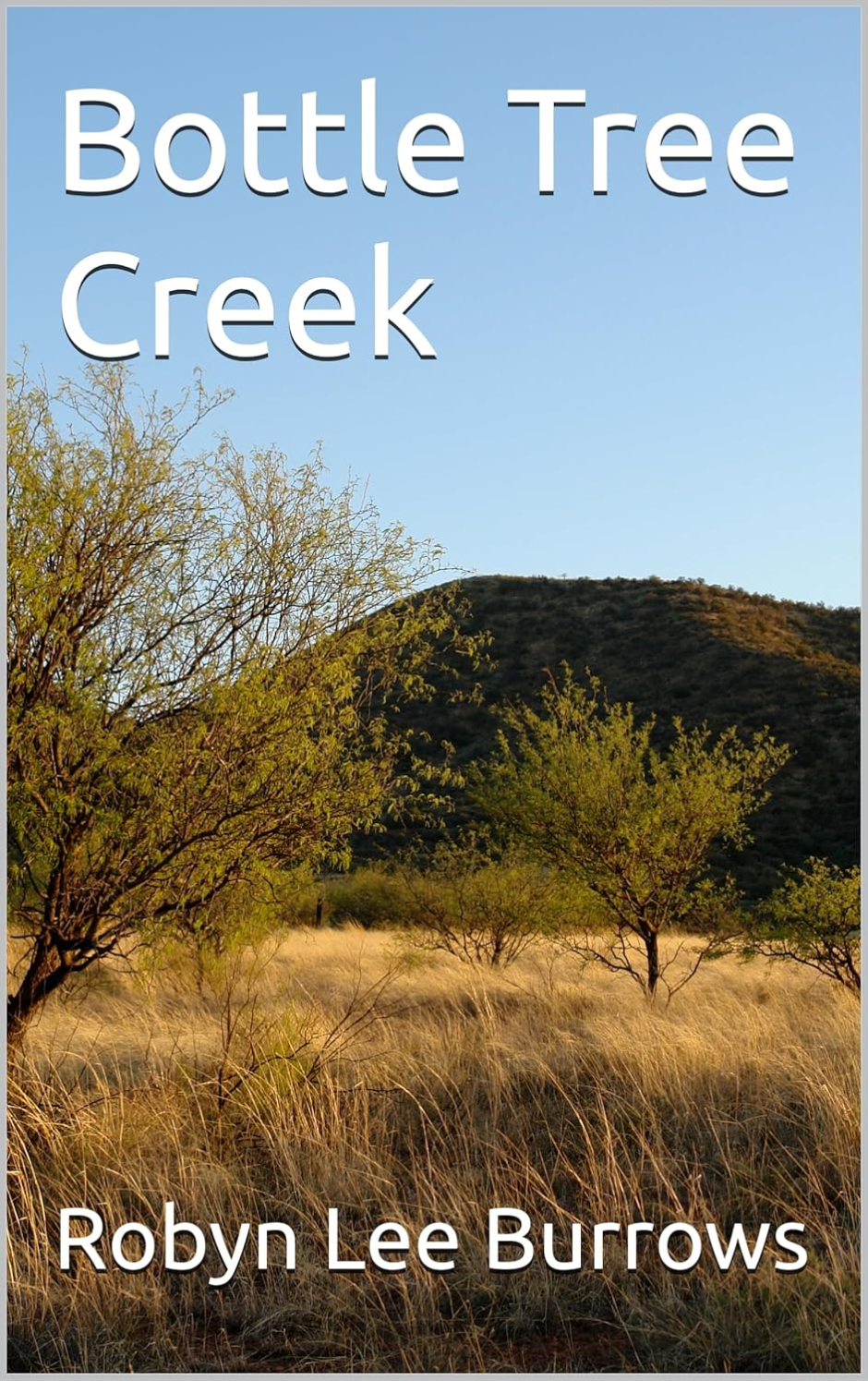 Bottle Tree Creek – Robyn Lee Burrows – Australian author